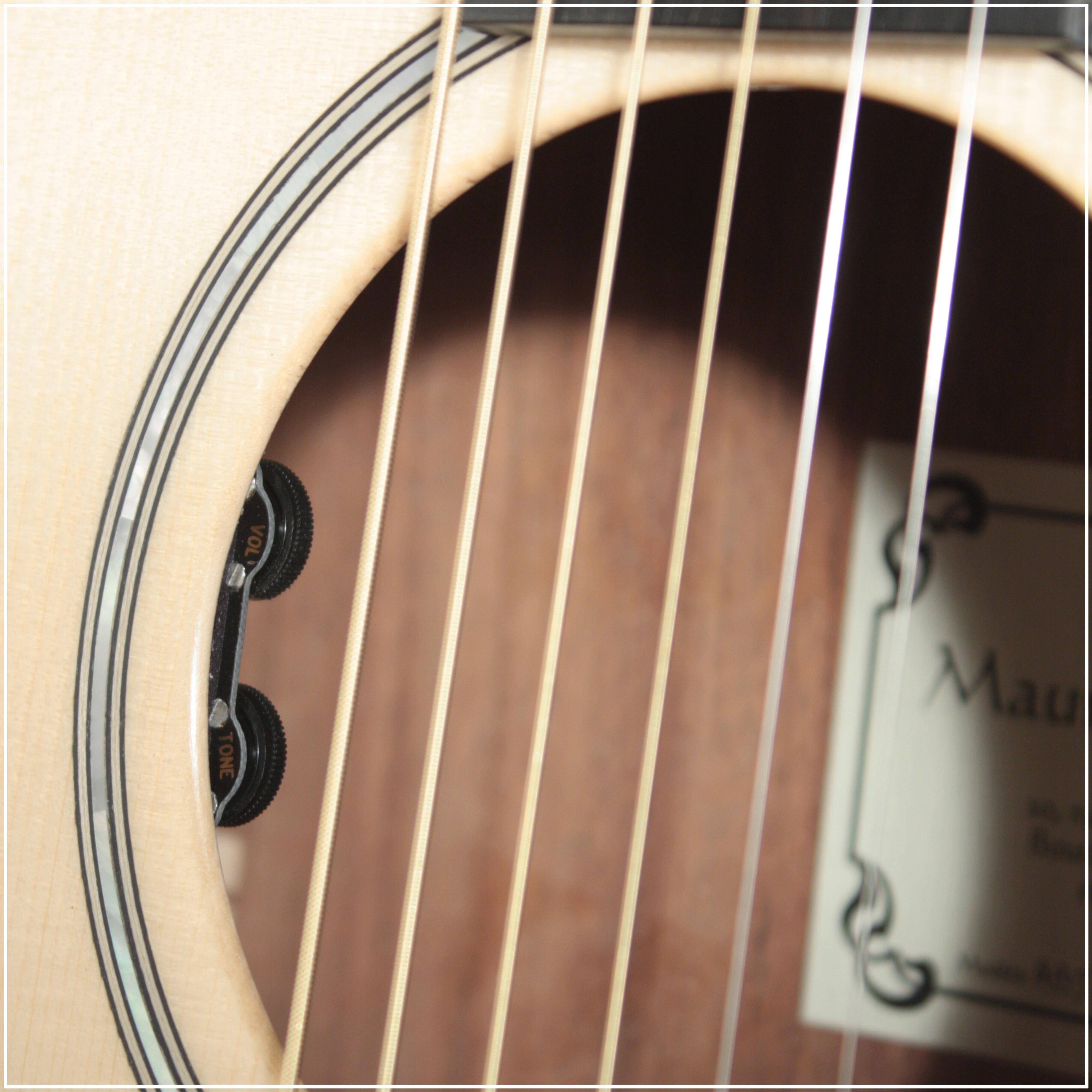 Steel String Guitar Pickups