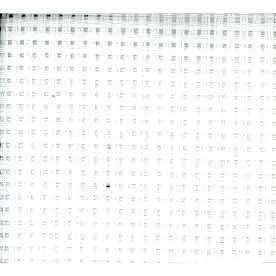 Embroidery Matting (Binca) White 7HPI EMW