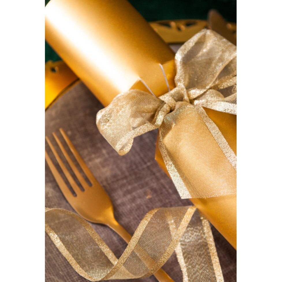 Sparkle Sheer Ribbon 40mmx 20m Reel 6024940