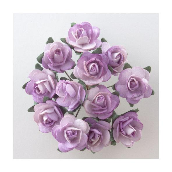 Tea Roses Lilac 144 Stems IO-0527
