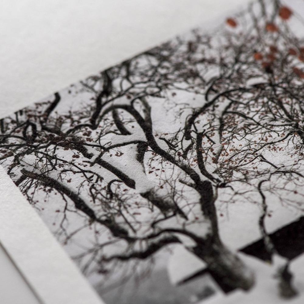 Awagami Kozo Thick White 110gsm