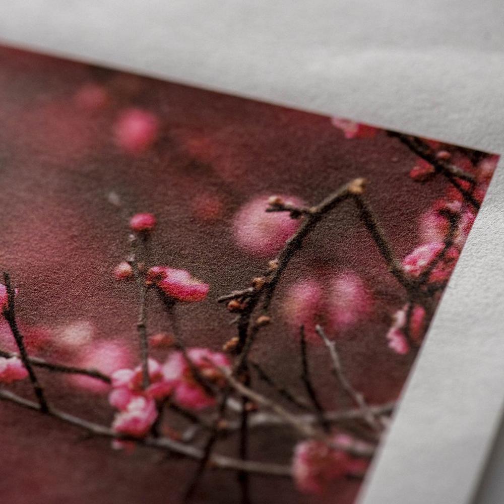 Awagami Kozo Thin White 70gsm - AIJP Japanese Inkjet Paper