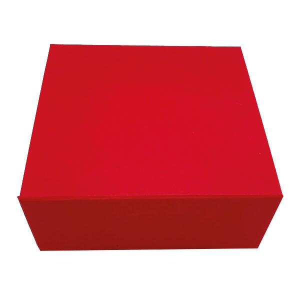RED Square Magnetic Rigid Gift Box (250 x 250 x 90mm)