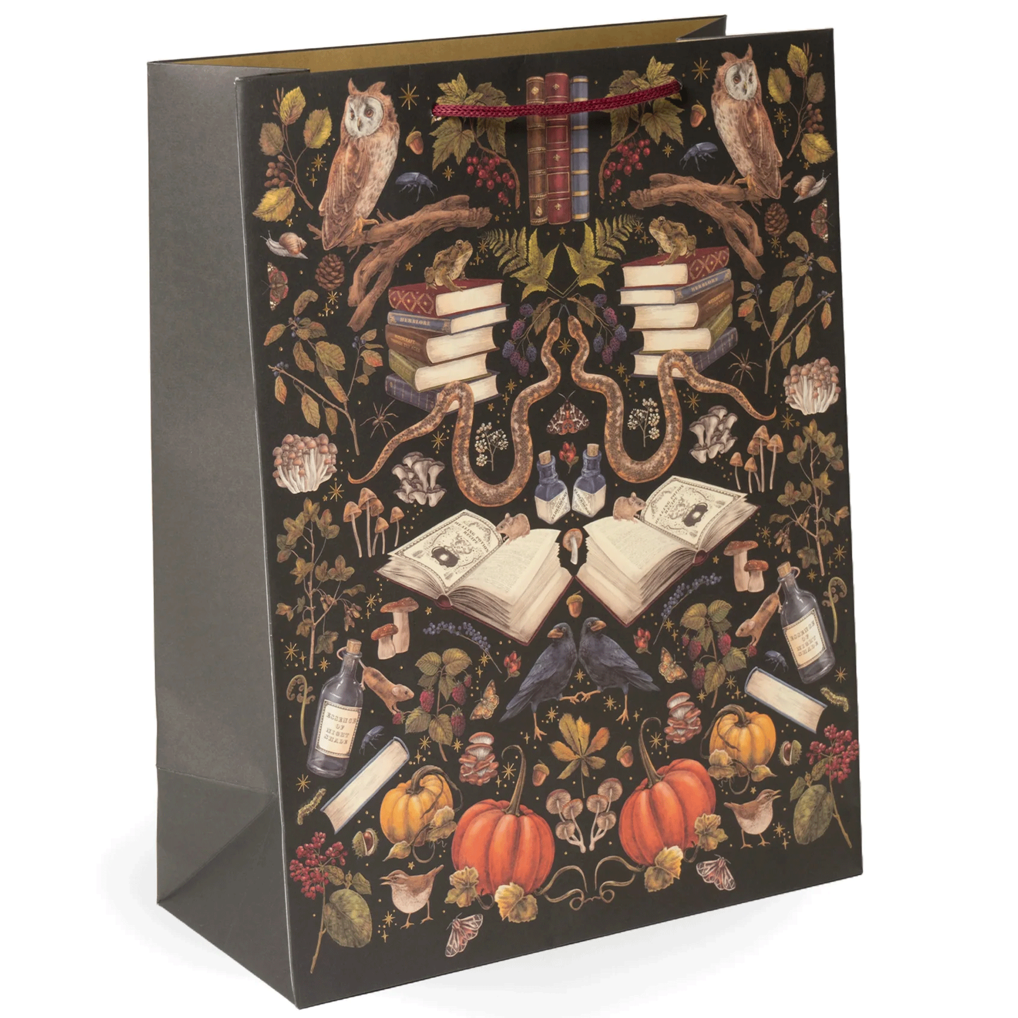 Large black witchcraft gift bag with snakes, spell books, pumpkins ...