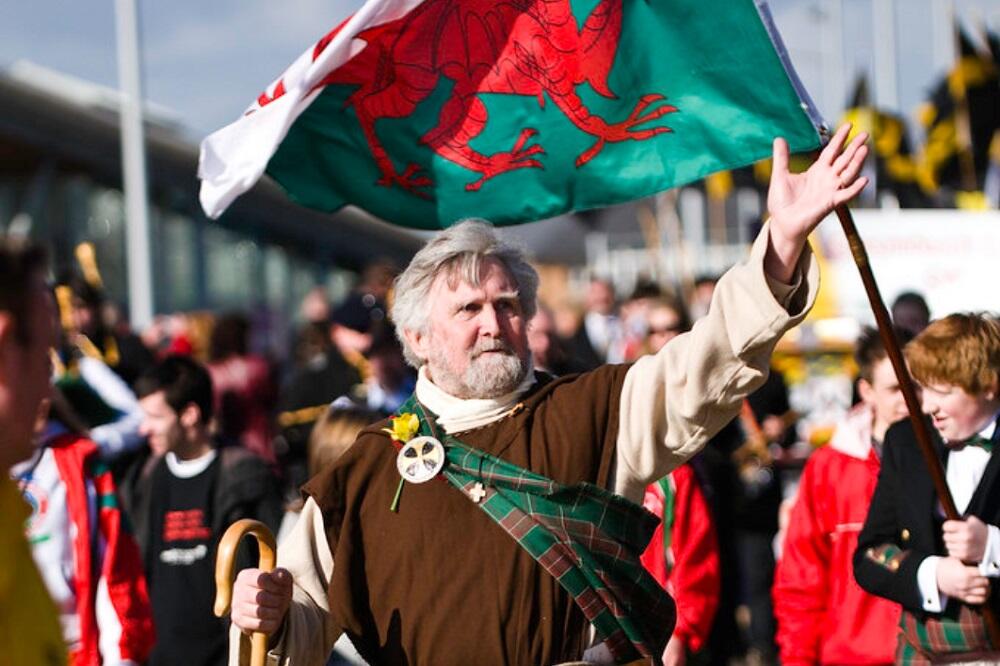 St David's Day From Daffodils to Dragons
