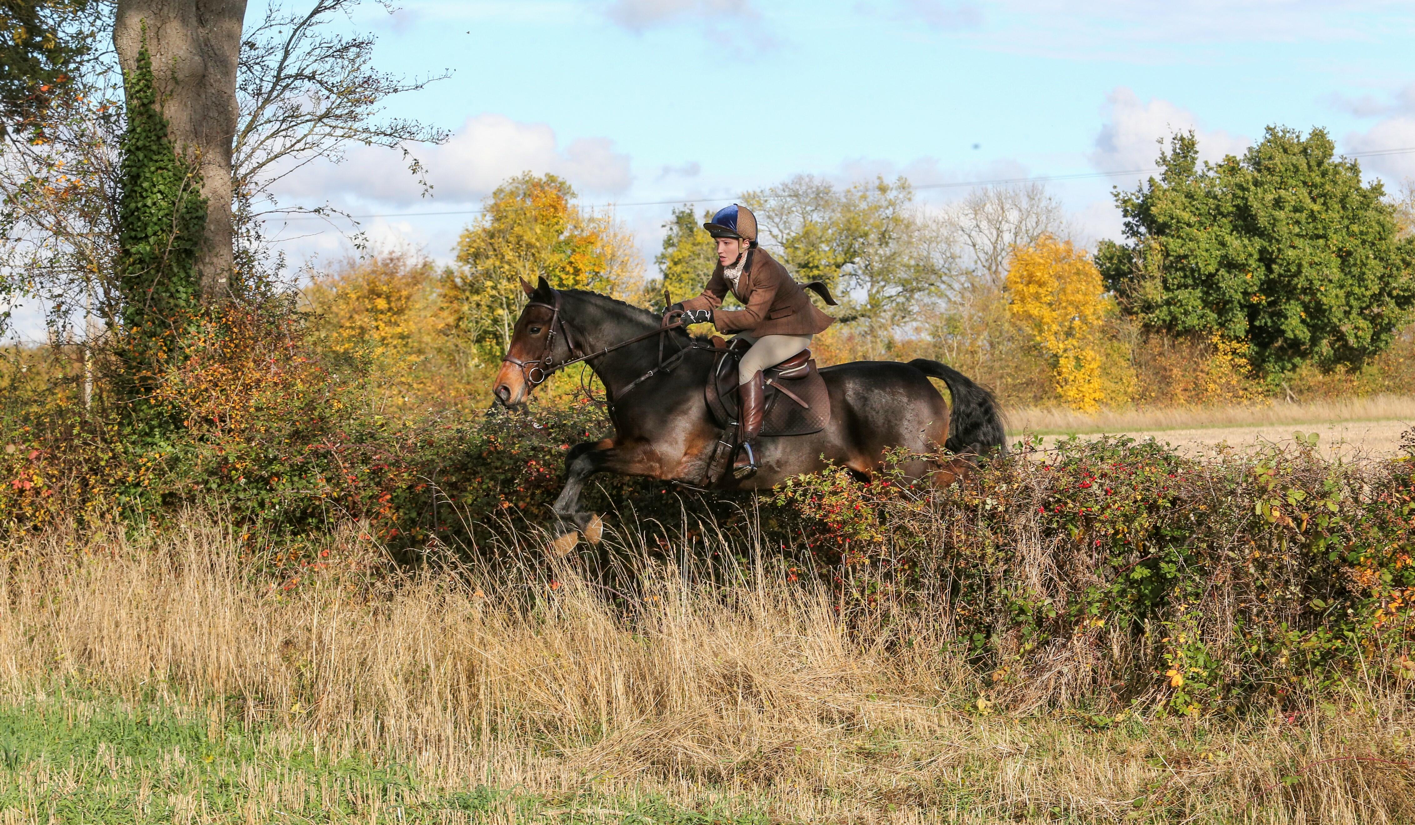 Equestrian Tweed