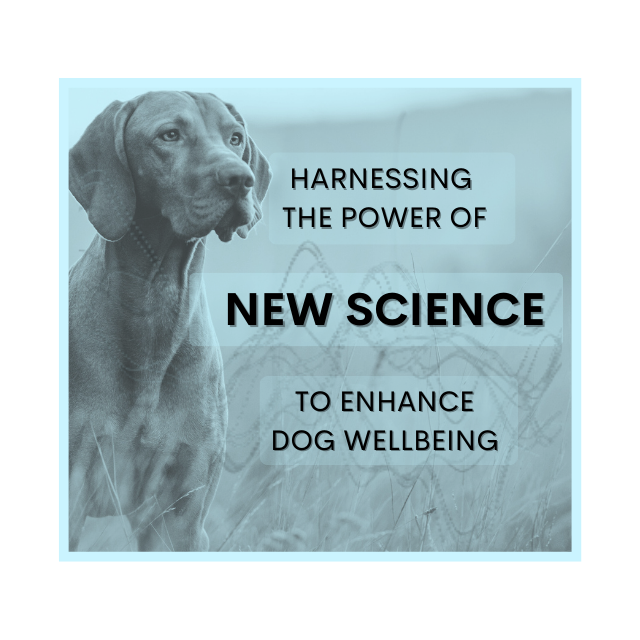 Clinical Grade PEMF Devices For Dogs | Zen Dog Health