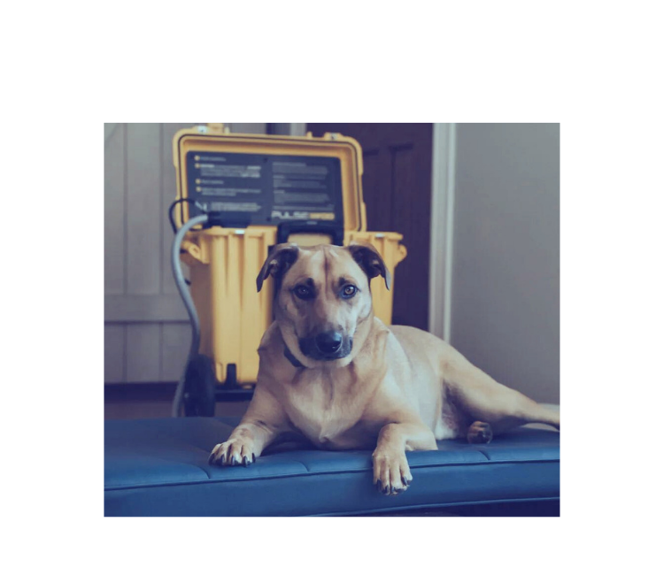 Benefits of PEMF Therapy