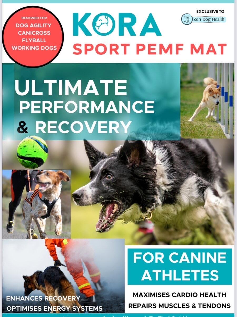 The Kora SPORT Clinical grade Dog PEMF therapy mat