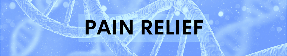 PEMF Therapy Clinical Evidence | Zen Dog Health