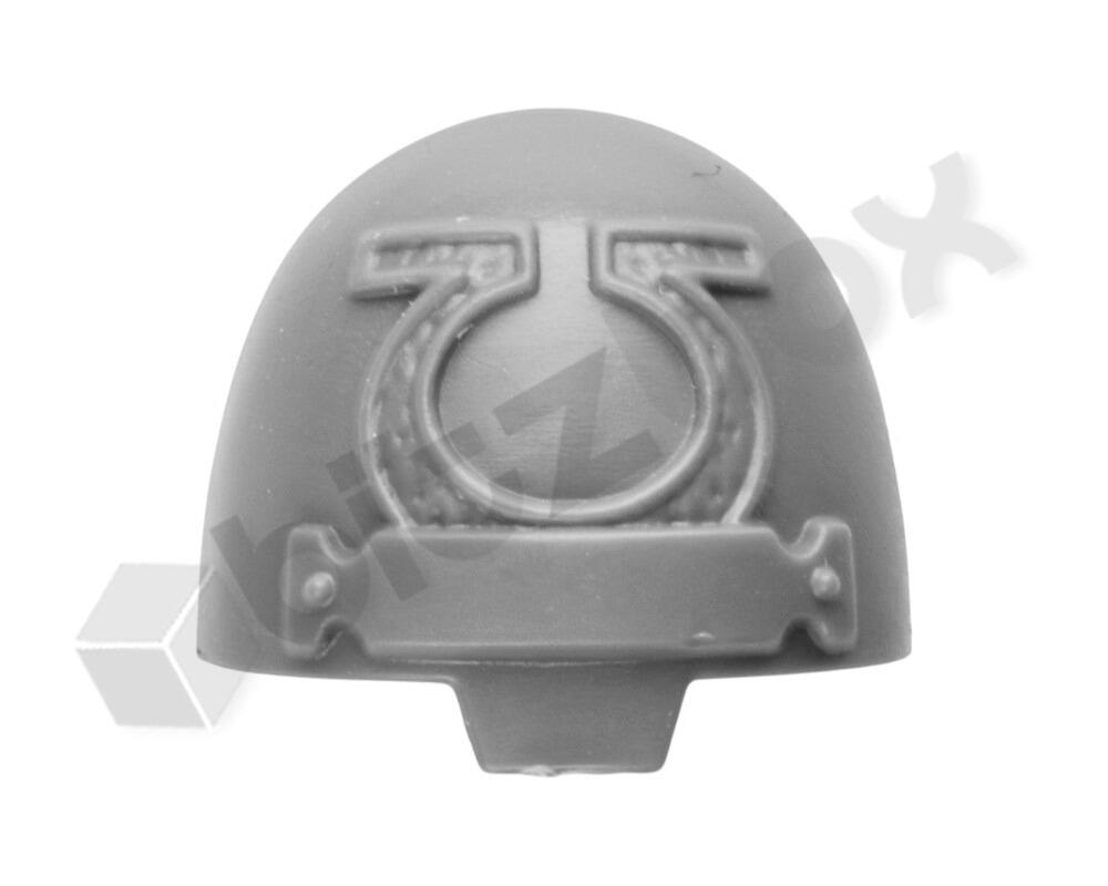 Ultramarines Upgrades Terminator Shoulder Pad C