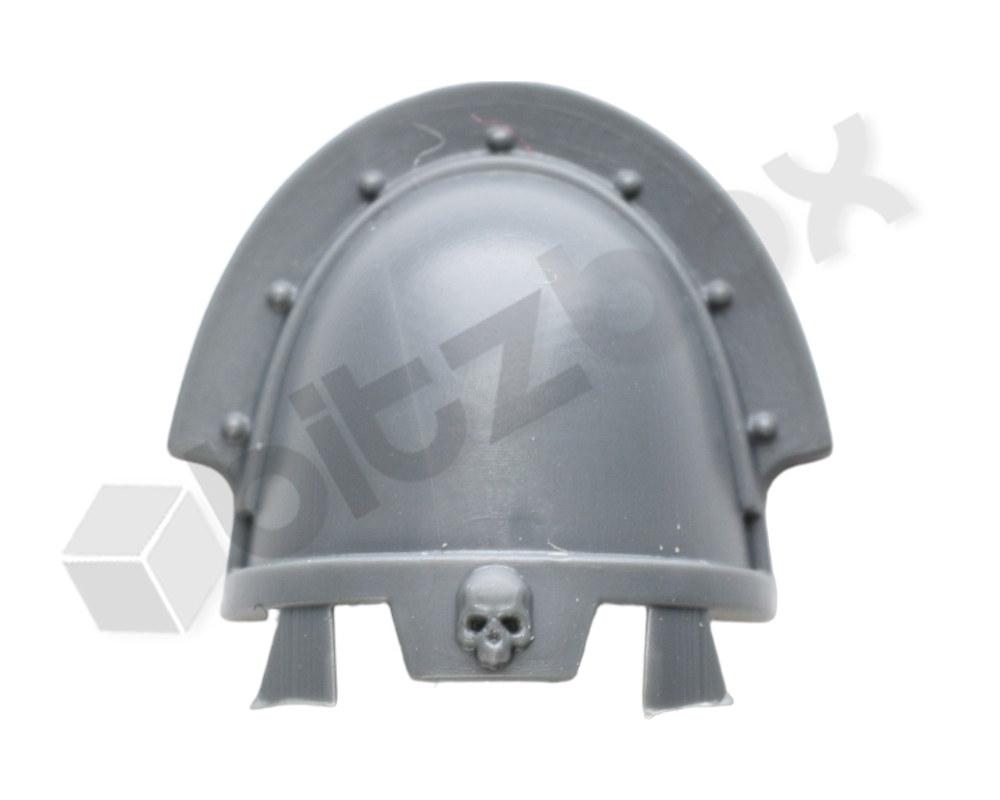 Space Marines Sternguard Veterans Shoulder Pad G