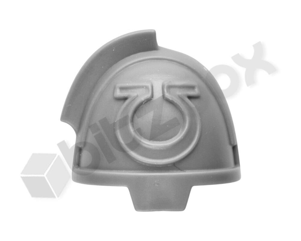 Ultramarines Upgrades Bladeguard Shoulder Pad C