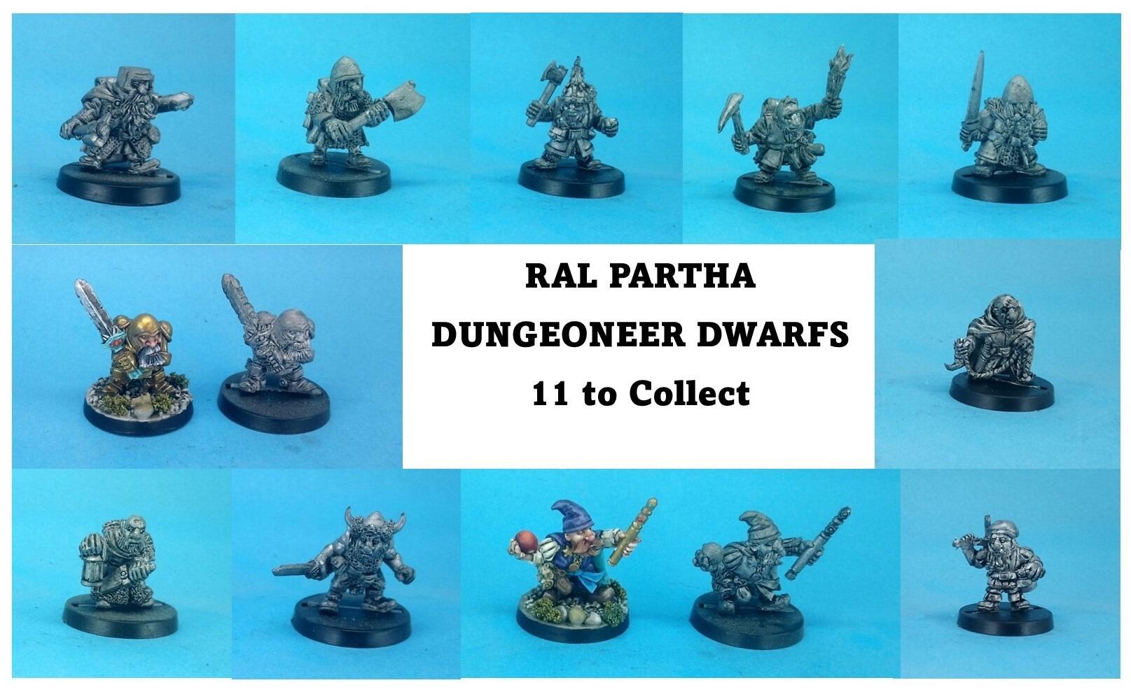 DW 300 One of each Dwarf Dungeoneer