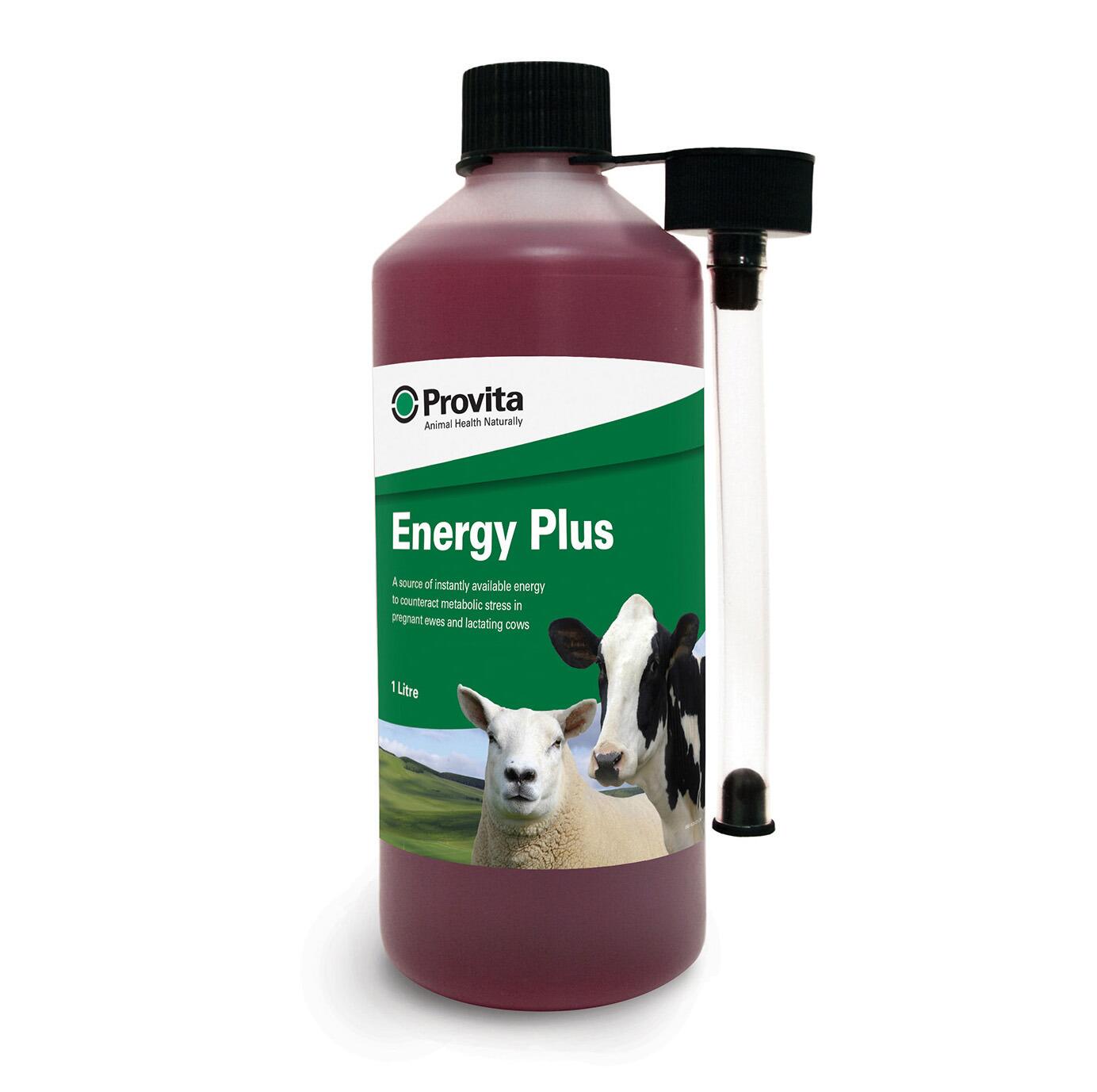Provita