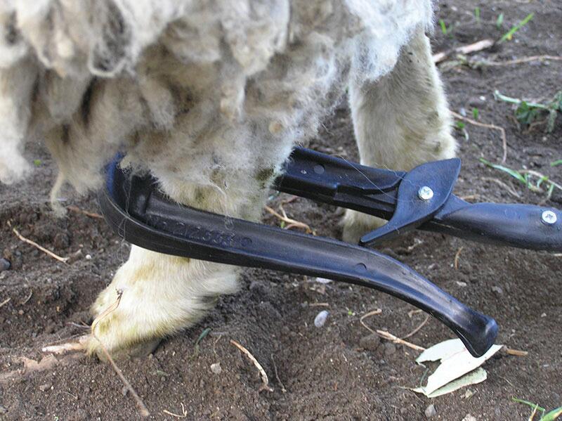 Shepherd's Crook Super Crook - 130cm (Various Colours)