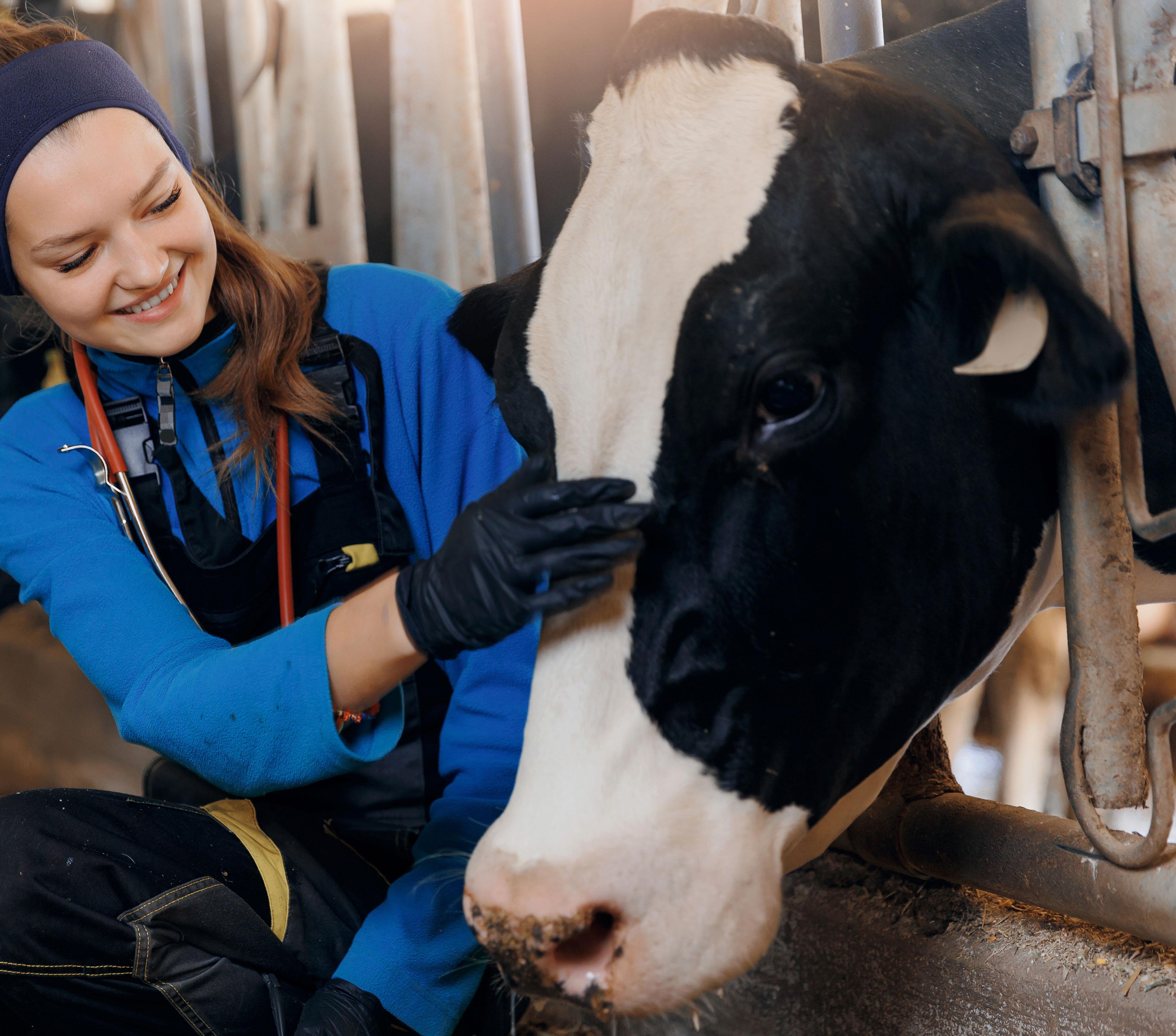 Quality livestock and farm supplies